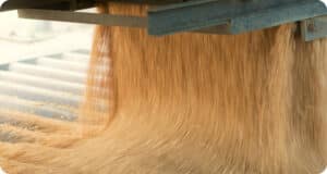 SCIO Mini: Handheld NIR Analyzer | SCiO