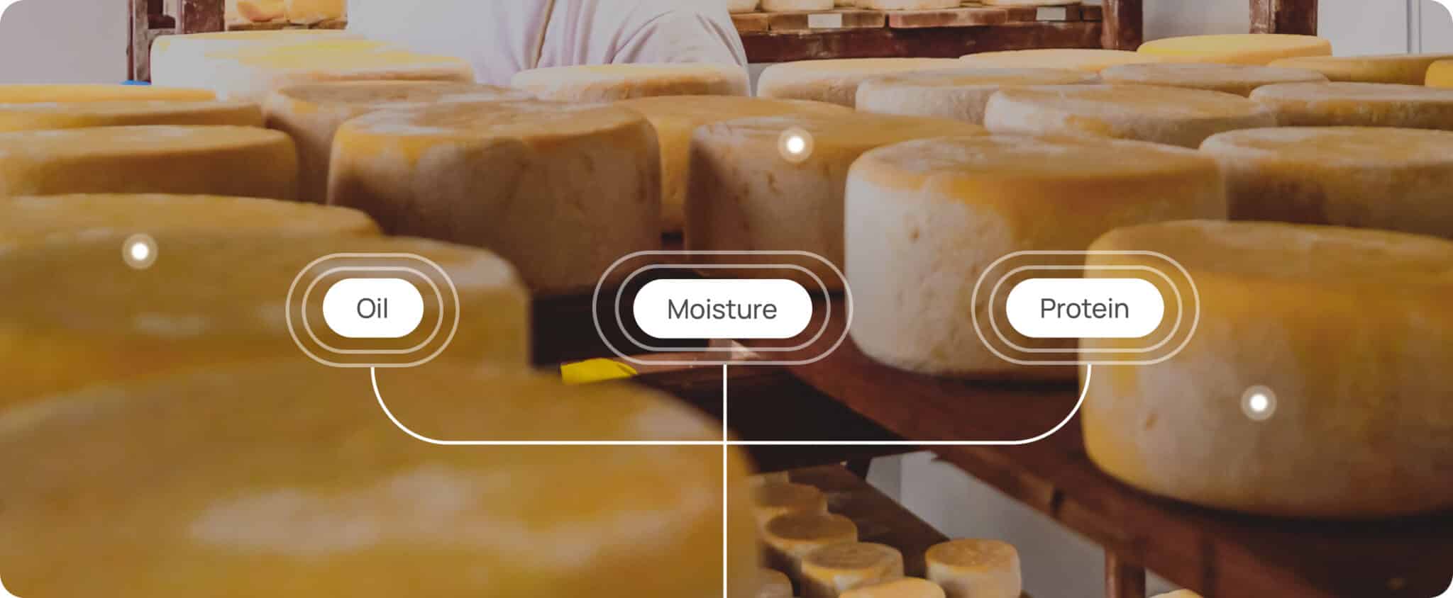 Cheese Product Dairy Quality Testing | SCiO