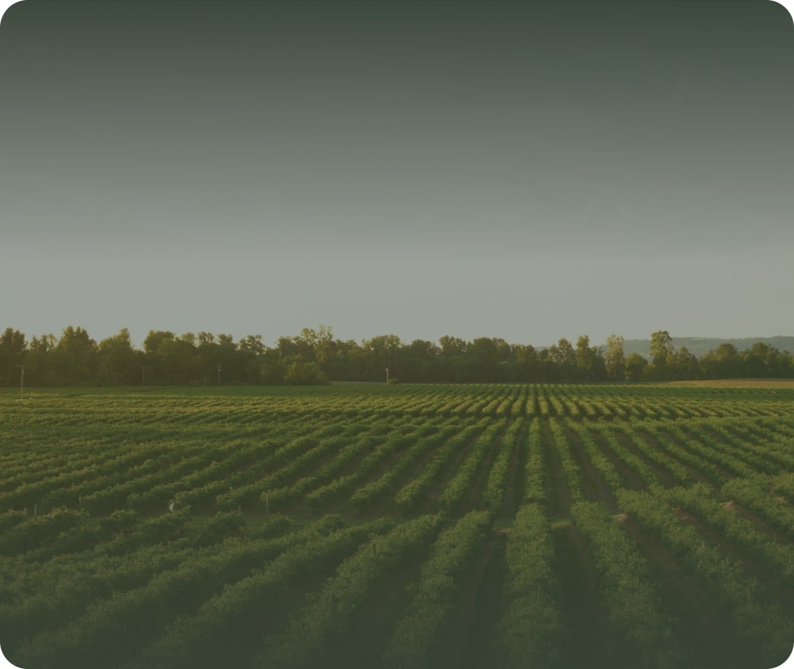 Corteva's Success with Real-Time Seed Moisture Analysis | SCIO
